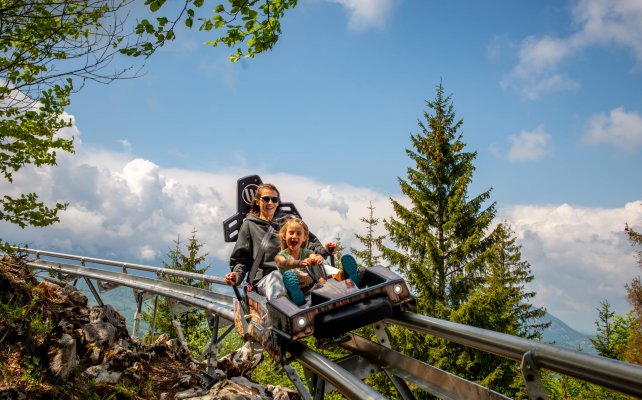 Alpine Coaster | Cheile Gradistei Fundata